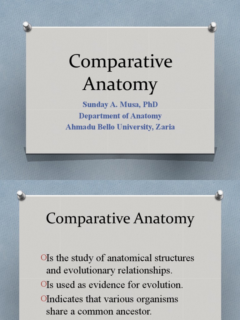 Comparative Anatomy | PDF