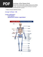 Complete List of 206 Human Bones | PDF | Vertebra | Toe