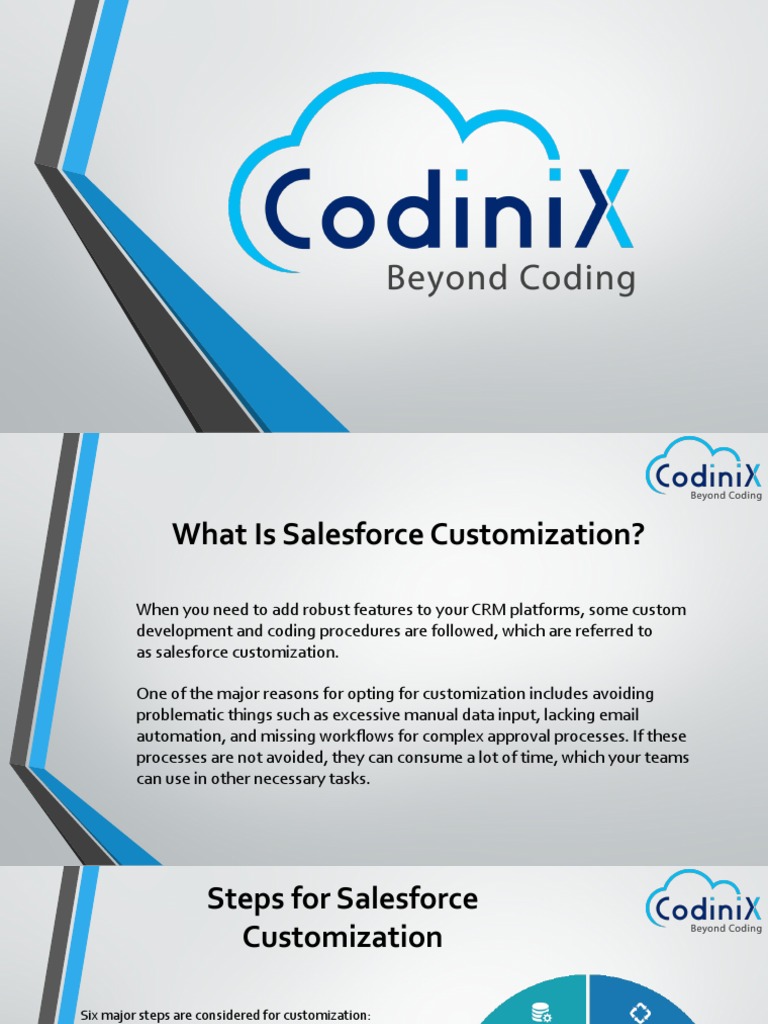 Salesforce Customization | PDF | Customer Relationship Management ...