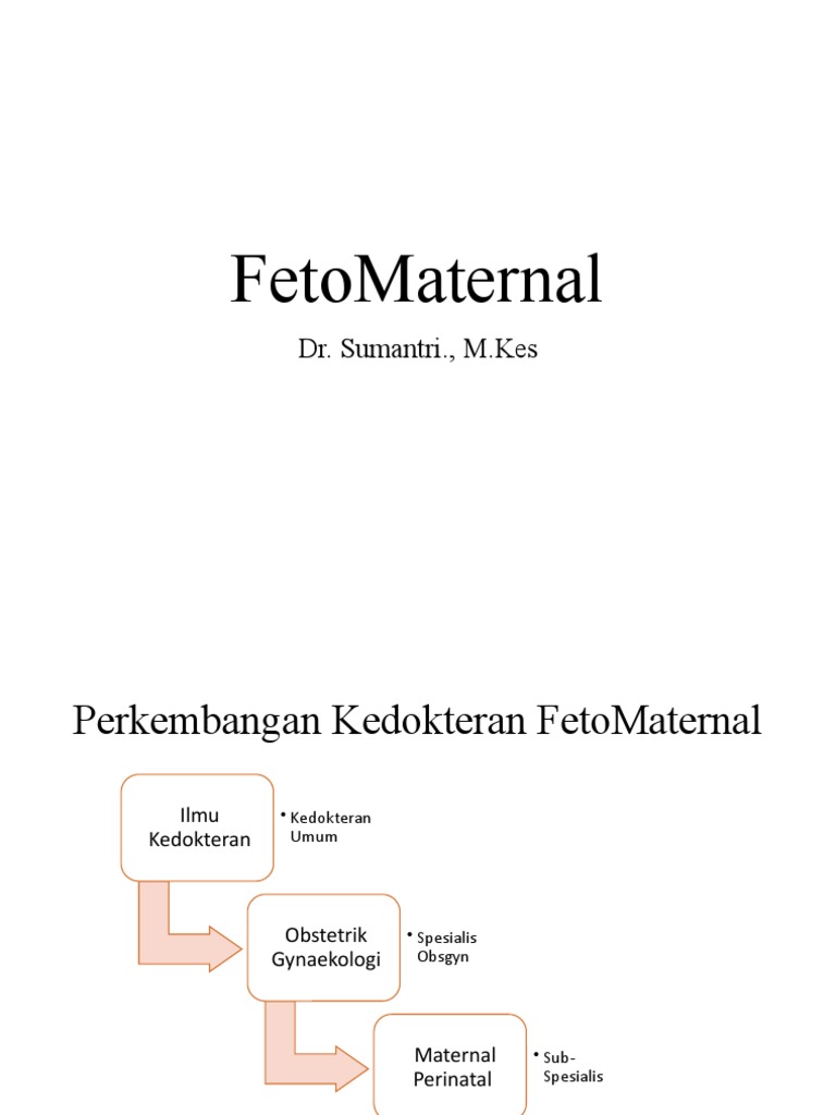 01 - Konsep FetoMaternal | PDF | Kesehatan Holistik | Sains & Matematika