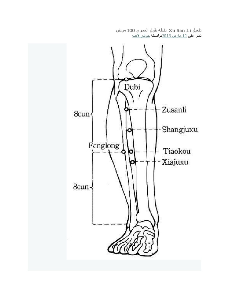 تفعيل Zu San Li نقطة طول العمر و 100 مرض | PDF