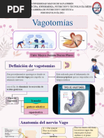 Incisión Rocky Davis | PDF | Medicina CLINICA | Anatomía