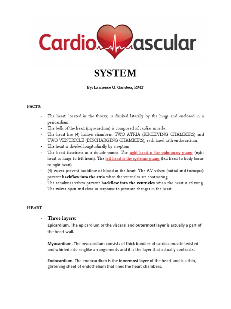 Cardiovascular Sys Part 1 | PDF | Heart Valve | Heart