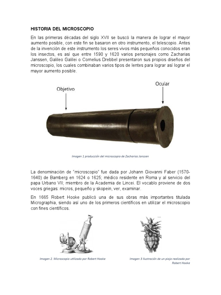 Historia Del Microscopio | PDF | Microscopio | Microscopía
