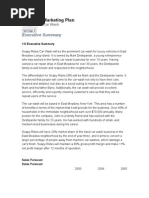 AUTOMATIC CAR WASH Project Report Final | PDF | Balance Sheet | Income ...