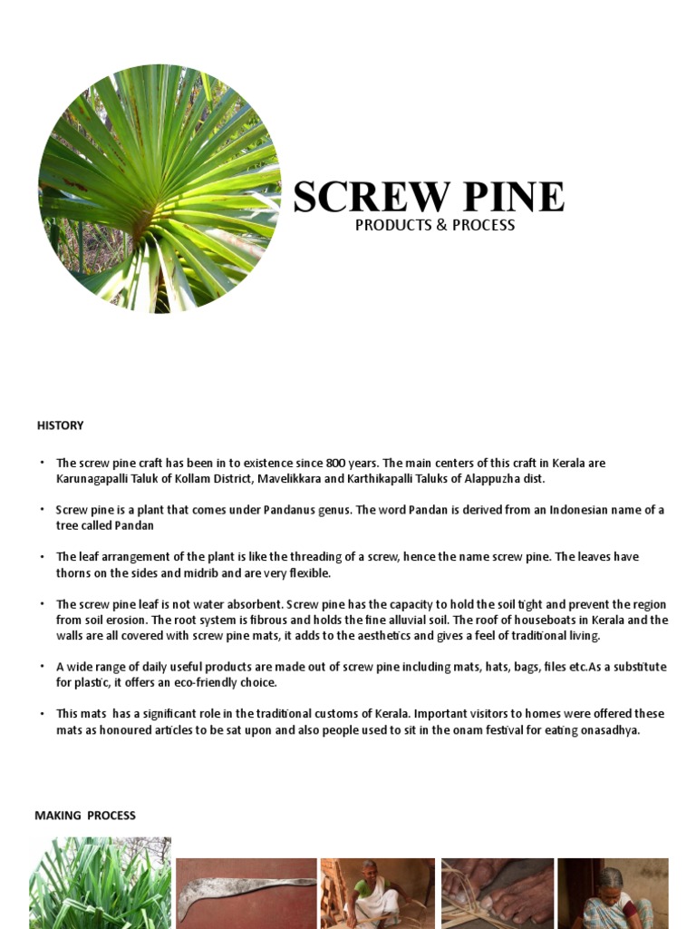 Screw Pine Products | PDF | Home & Garden