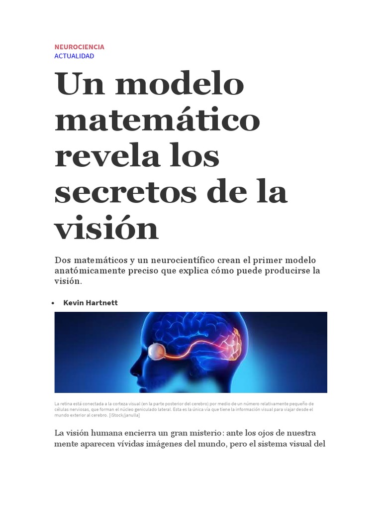 Modelo matemático de la visión humana | PDF | Percepción visual ...