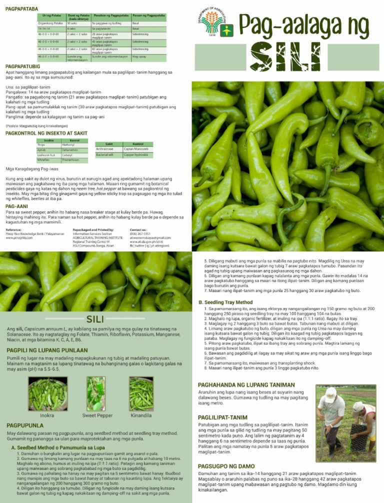 Sili Enhanced - Compressed | PDF