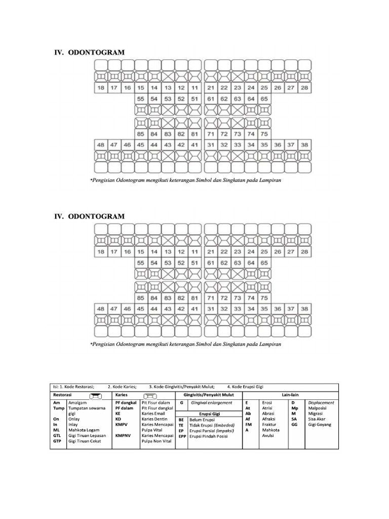 Odontogram | PDF