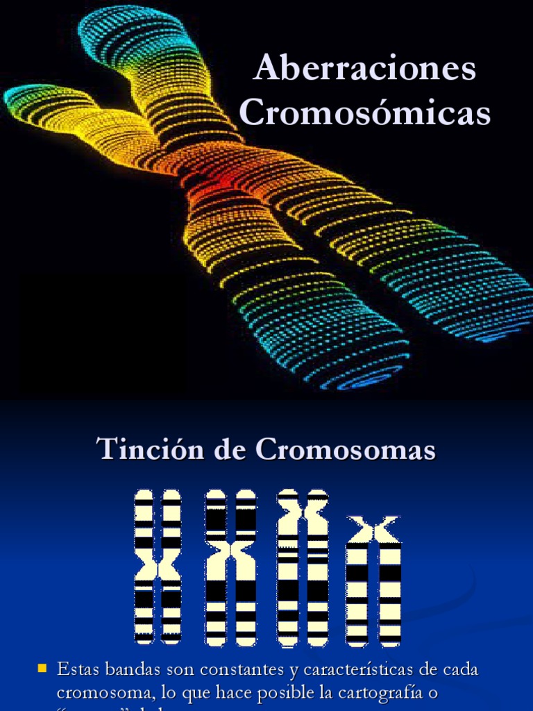 Alteraciones Cromosomicas | PDF | Cariotipo | Cromosoma