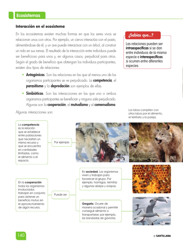 2.3 Interaccion en El Ecosistema | PDF | Depredación | Zoología
