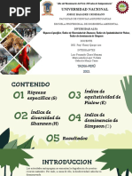 Índice de Simpson: Fórmula y Ejemplos | PDF | Biodiversidad | Habitat