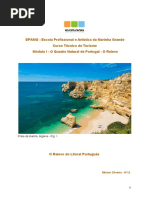 Aspectos da Costa: Tipos e Definições | PDF
