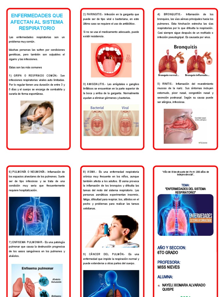 Triptico de Enfermedades Respiratorio | PDF | Resfriado comun | Neumonía