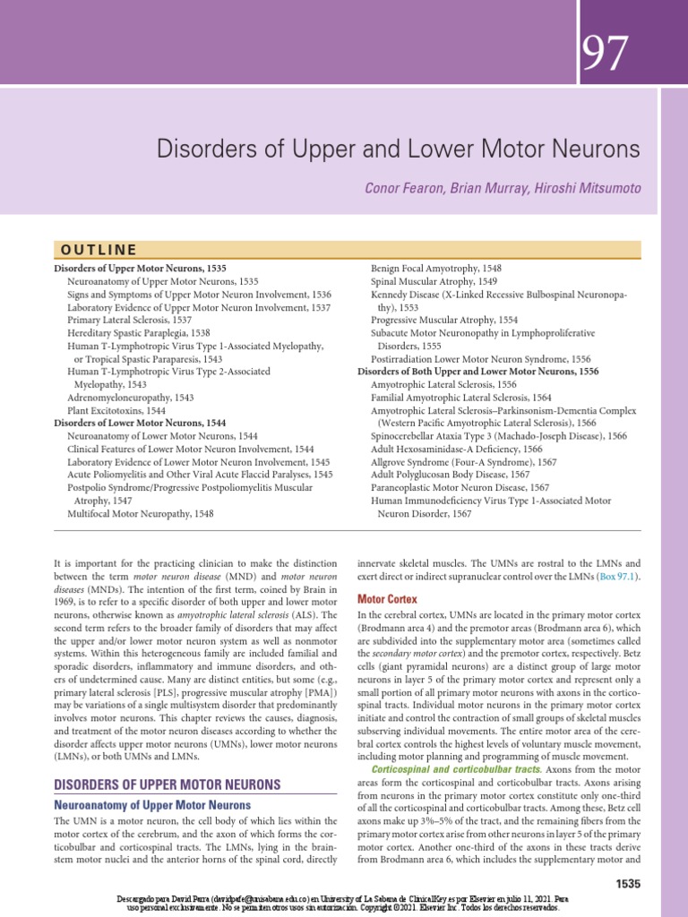 Disorders of Upper and Lower Motor Neurons | PDF | Motor Neuron ... Disorders of Upper and Lower Motor Neurons | PDF | Motor Neuron ...