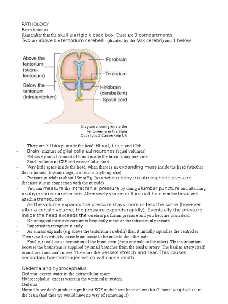 CNS Pathology | PDF | Brain Tumor | Myelin