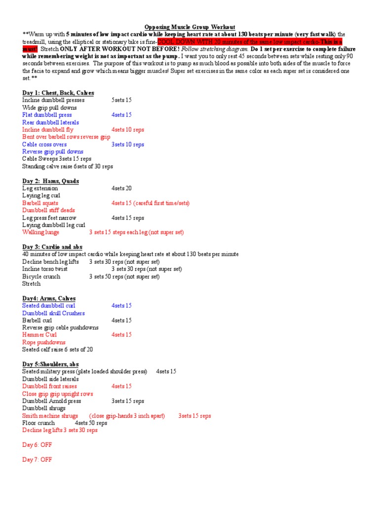 Opposing Muscle Group Workout Plan | PDF | Physical Exercise | Weight ...