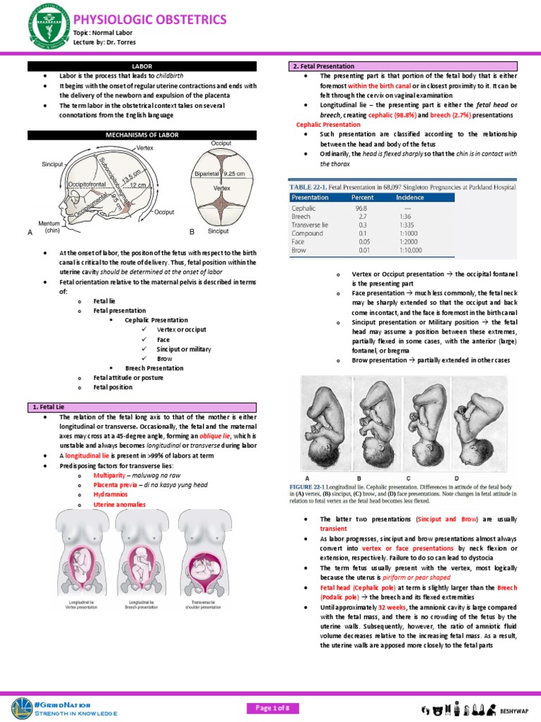 15 Physio OB - Normal Labor | PDF | Childbirth | Pelvis