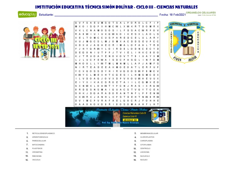 Sopa de letras # 02 ORGANELOS CELULARES (Biología - Ciclo III ) | PDF ...