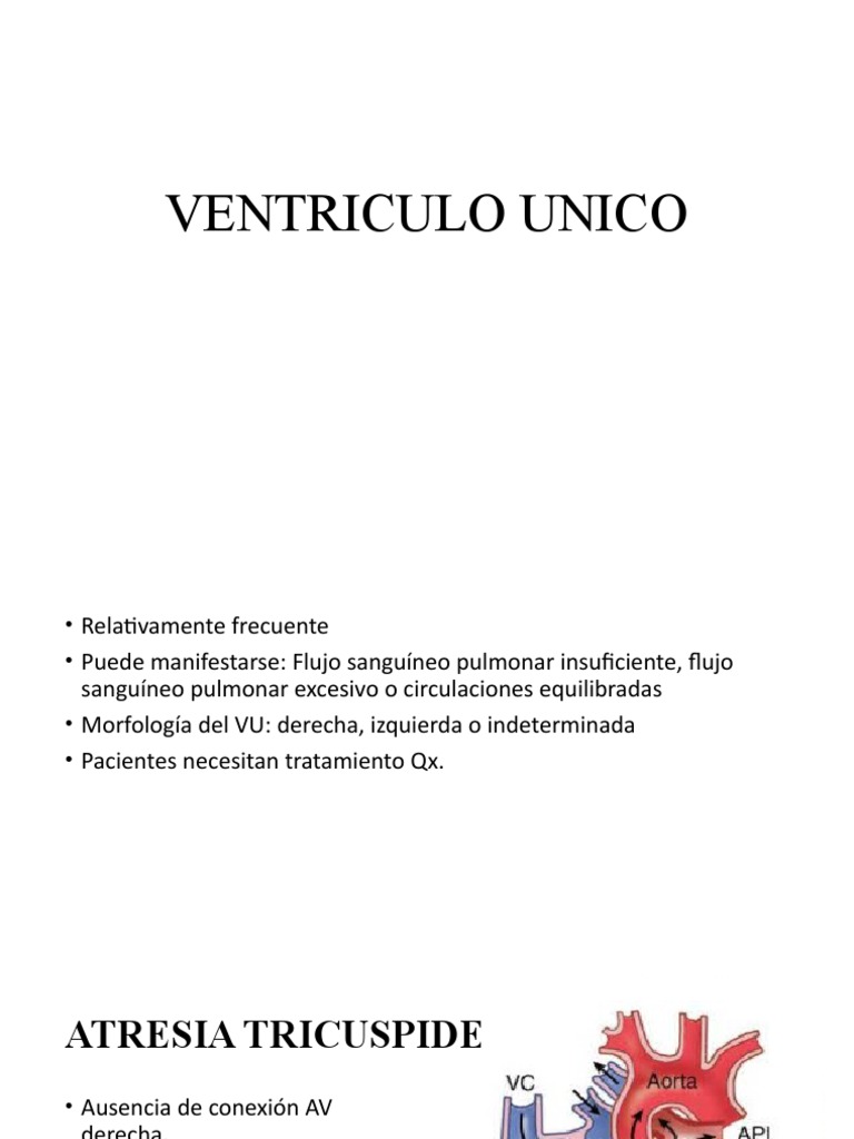 Ventriculo Unico | PDF | Sistema circulatorio | Corazón