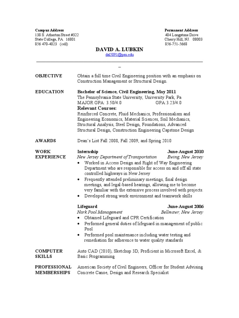 David Lubkin Resume | PDF