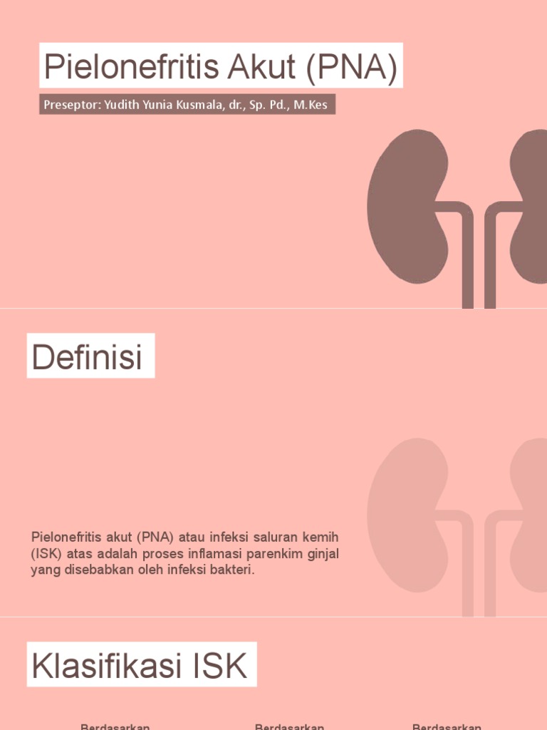 Pielonefritis Akut (PNA) | PDF