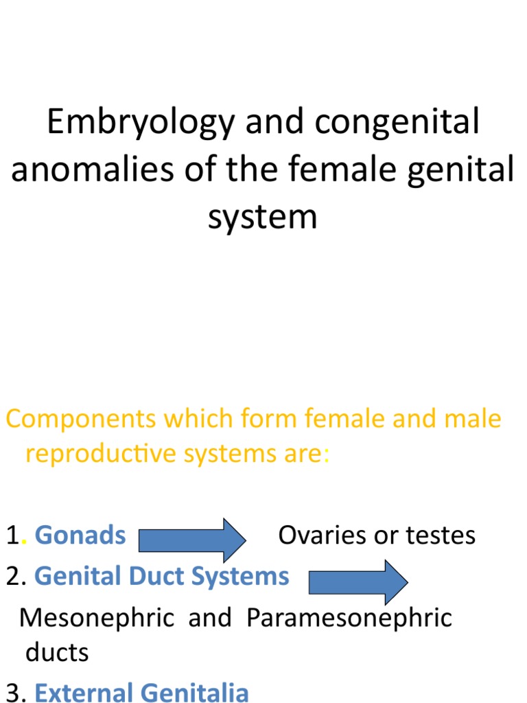 Embryology and Congenital Anomalies of The Female Genital System | PDF ...