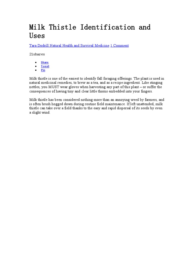 Milk Thistle Identification and Uses | PDF