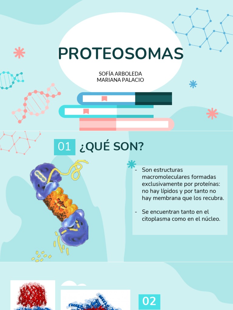 PROTEOSOMAS | PDF | Proteasoma | Especialidades Medicas