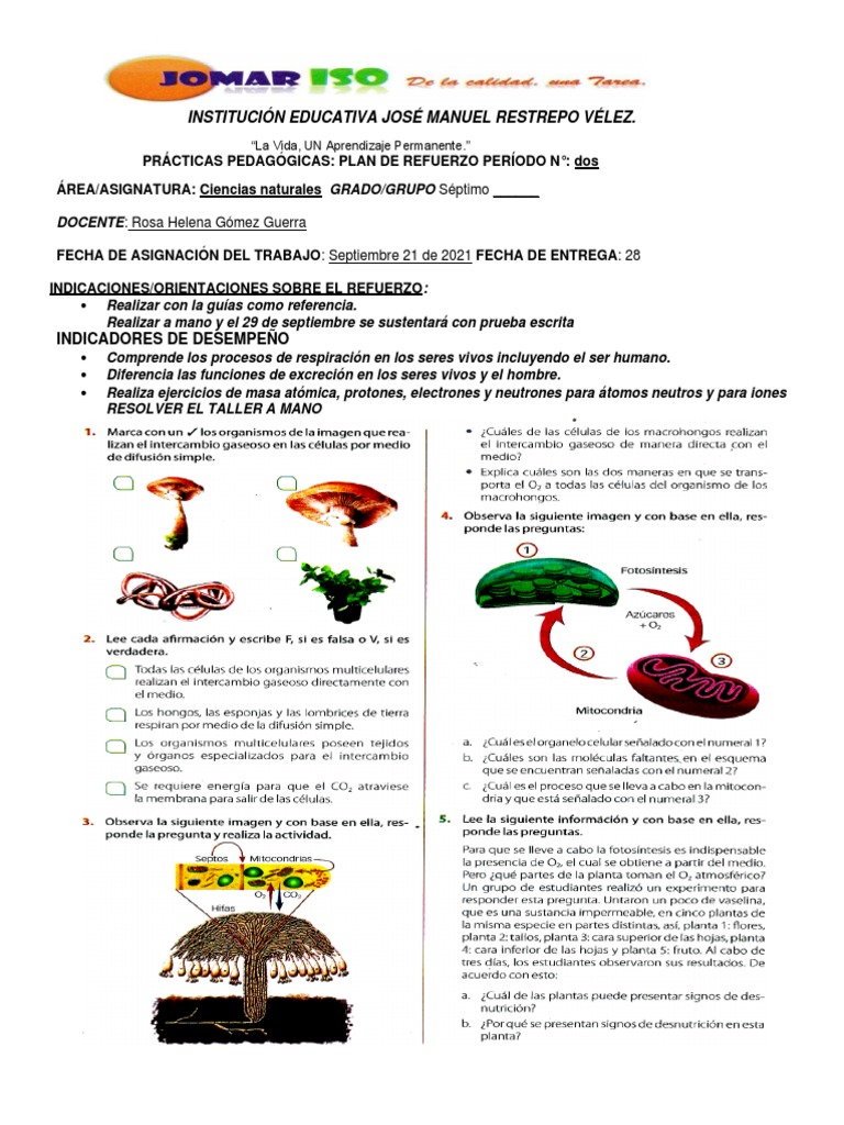 Refuerzo de Segundo Período Ciencias Naturales 2021 | PDF