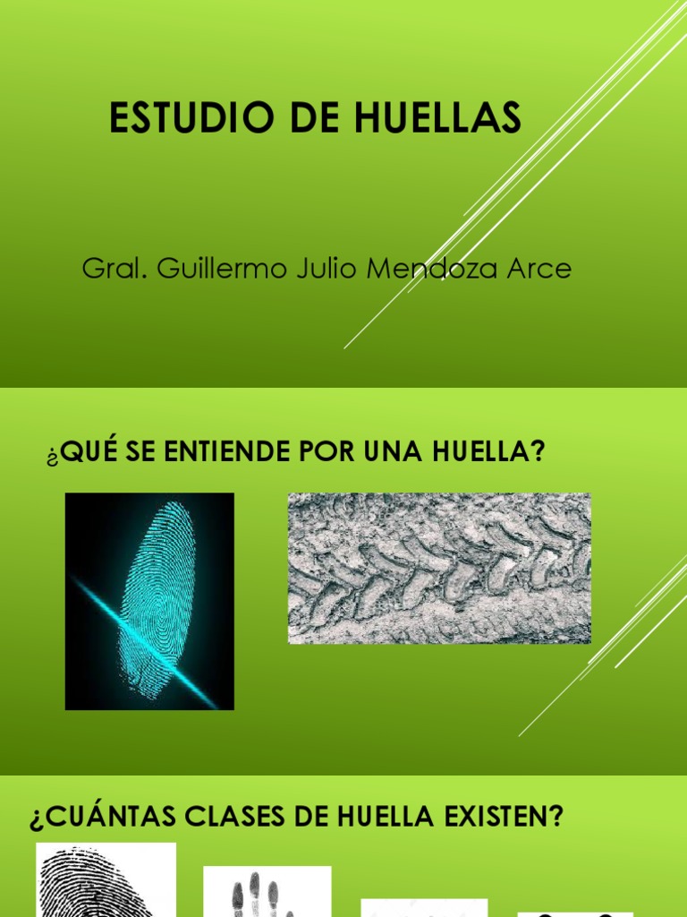 Tema 5. Huellas Dactilares | PDF | Huella dactilar | Química
