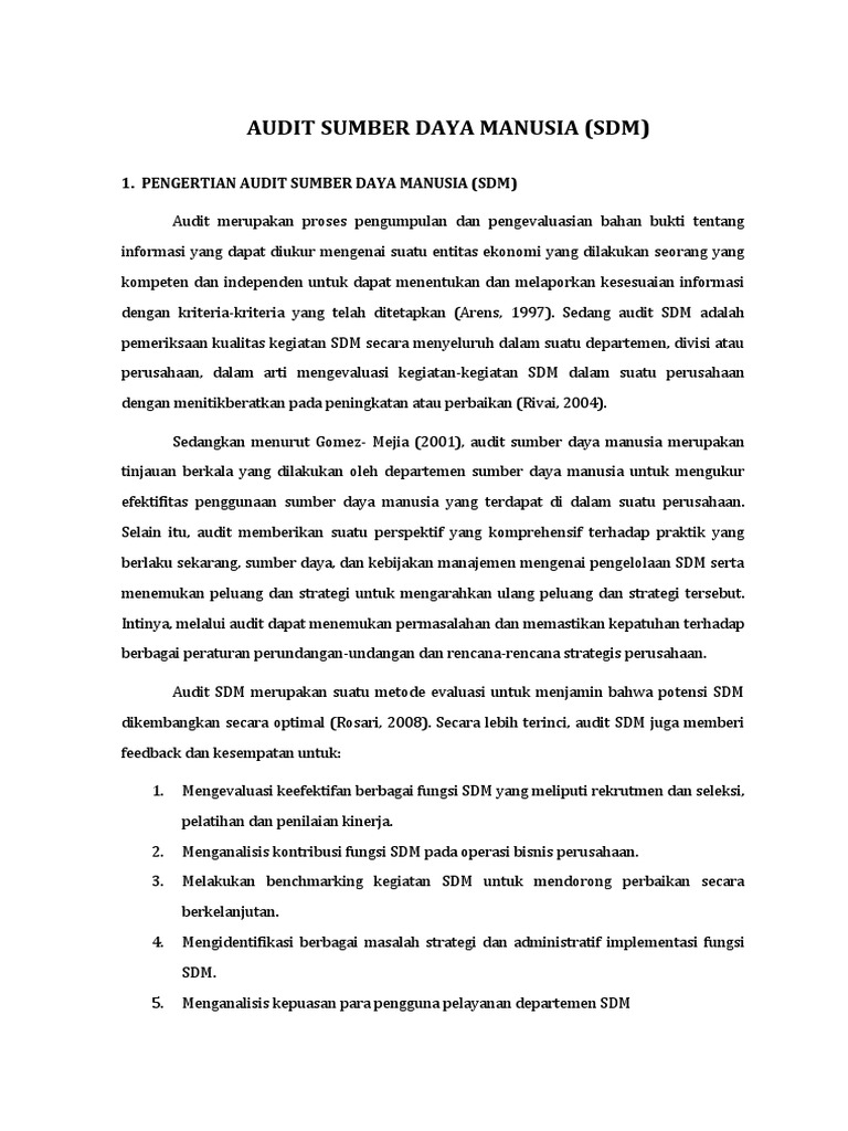 Audit Sumber Daya Manusia | PDF | Karier & Perkembangan | Bisnis