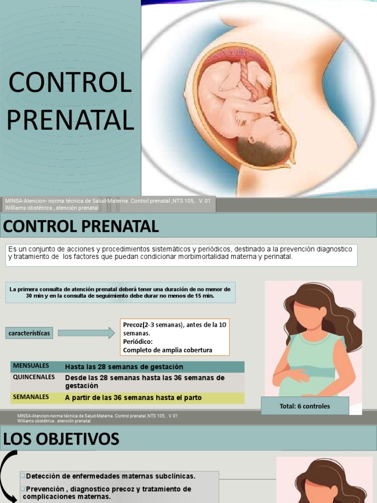 Control Prenatal | PDF | El embarazo | Parto