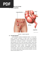 LP Appendicitis | PDF