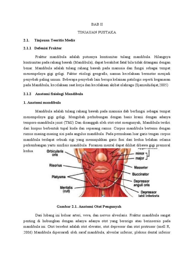 Bab Ii Kti Olan 2 | PDF