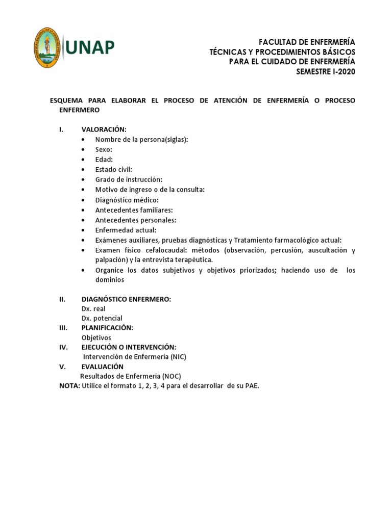 Esquema para Elaborar El Pae | PDF