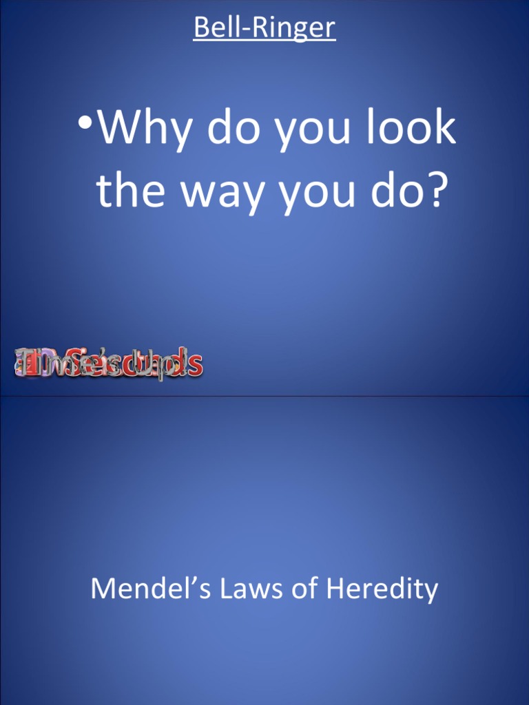 Why Do You Look The Way You Do?: Bell-Ringer | PDF | Reproduction ...