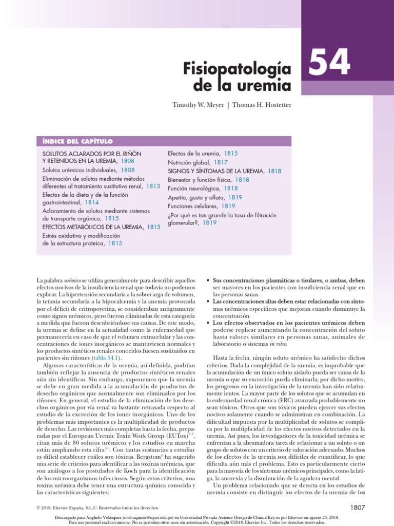 Fisiopatología de La Uremia: Timothy W. Meyer - Thomas H. Hostetter ...