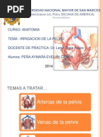 Arteria Iliaca Comun Externa Interna y Sus Ramas Correspondientes | PDF ...