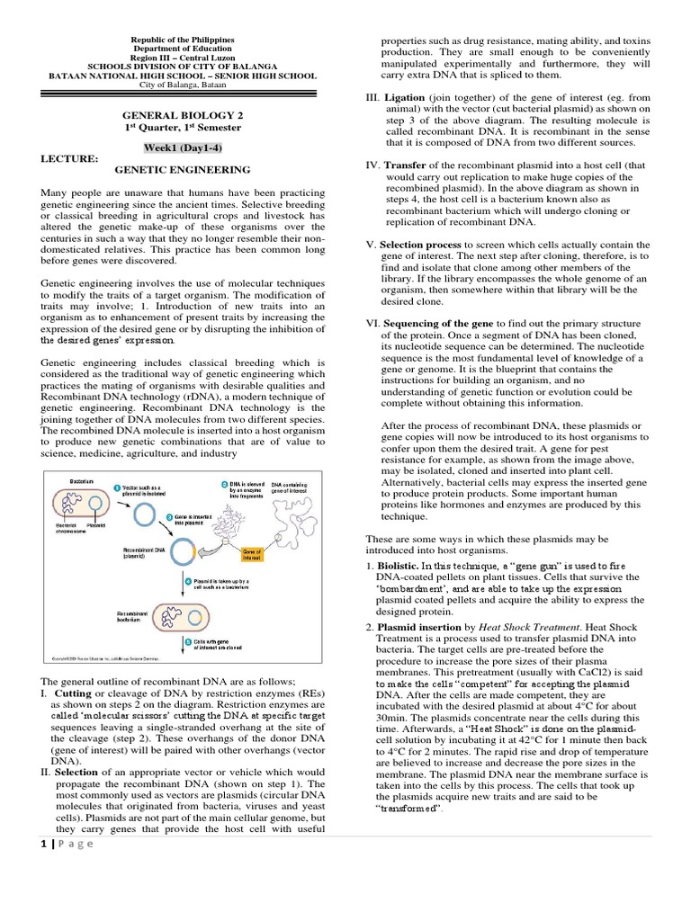 General Biology 2 1 Quarter, 1 Semester Week1 (Day1-4) Genetic ...