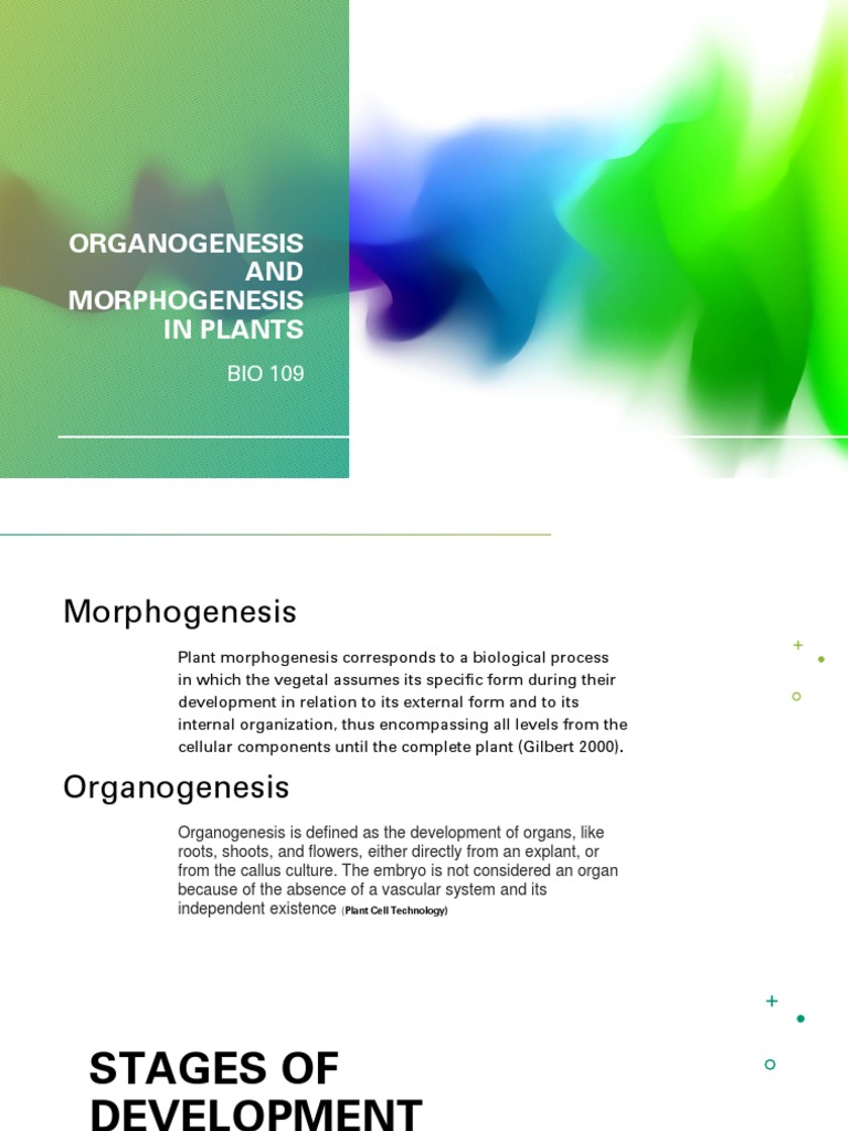 Organogenesis and Morphogenesis in Plants | Download Free PDF | Auxin | Cellular Differentiation