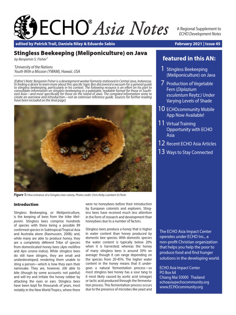 Stingless Beekeeping (Meliponiculture) On Java | PDF | Honey Bee | Beehive