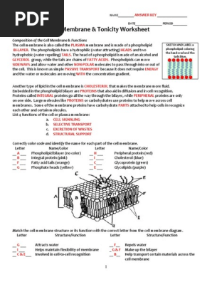 Tonicity And Osmosis Worksheet