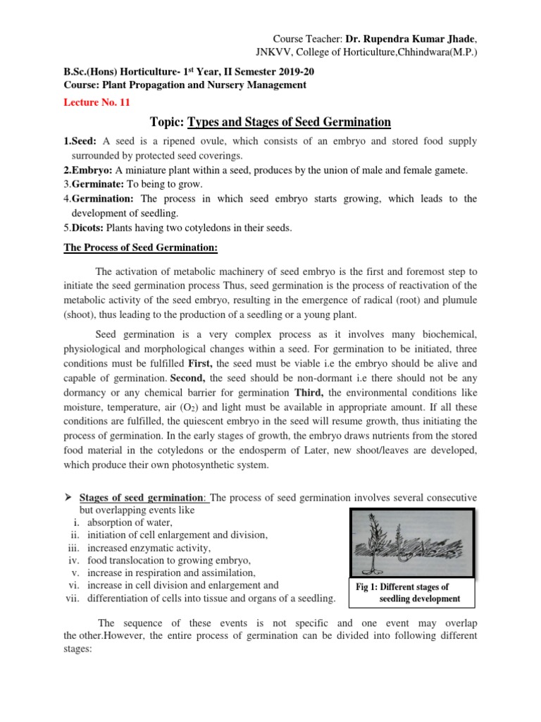 Topic: Types and Stages of Seed Germination: Lecture No. 11 | PDF ...