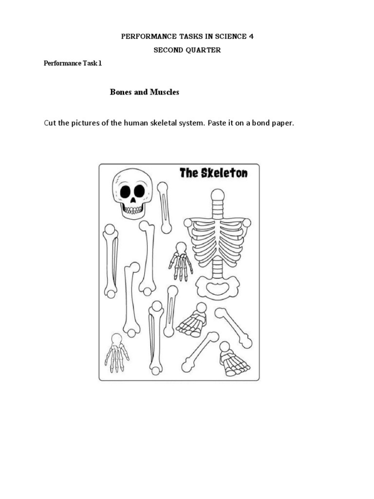 Cut The Pictures of The Human Skeletal System. Paste It On A Bond Paper ...