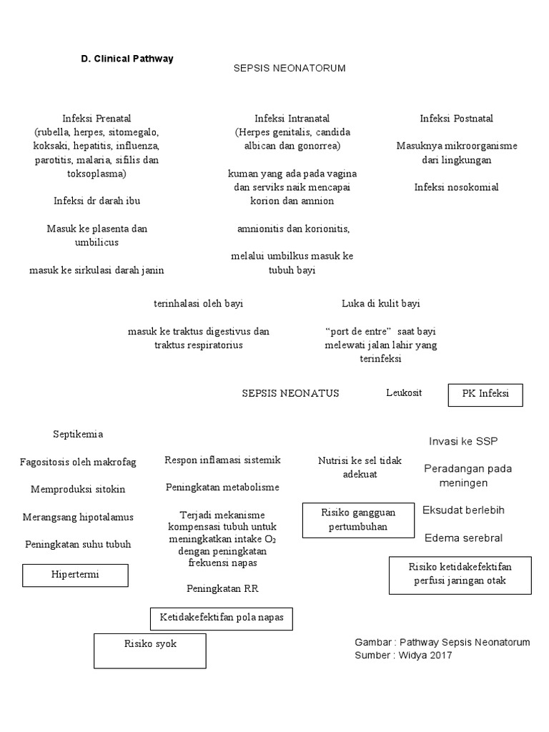 Pathway Sepsis Neonatus | PDF