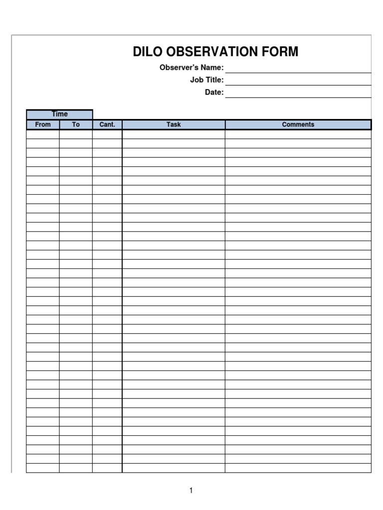 Dilo Observation Form: Observer's Name: Job Title: Date | PDF