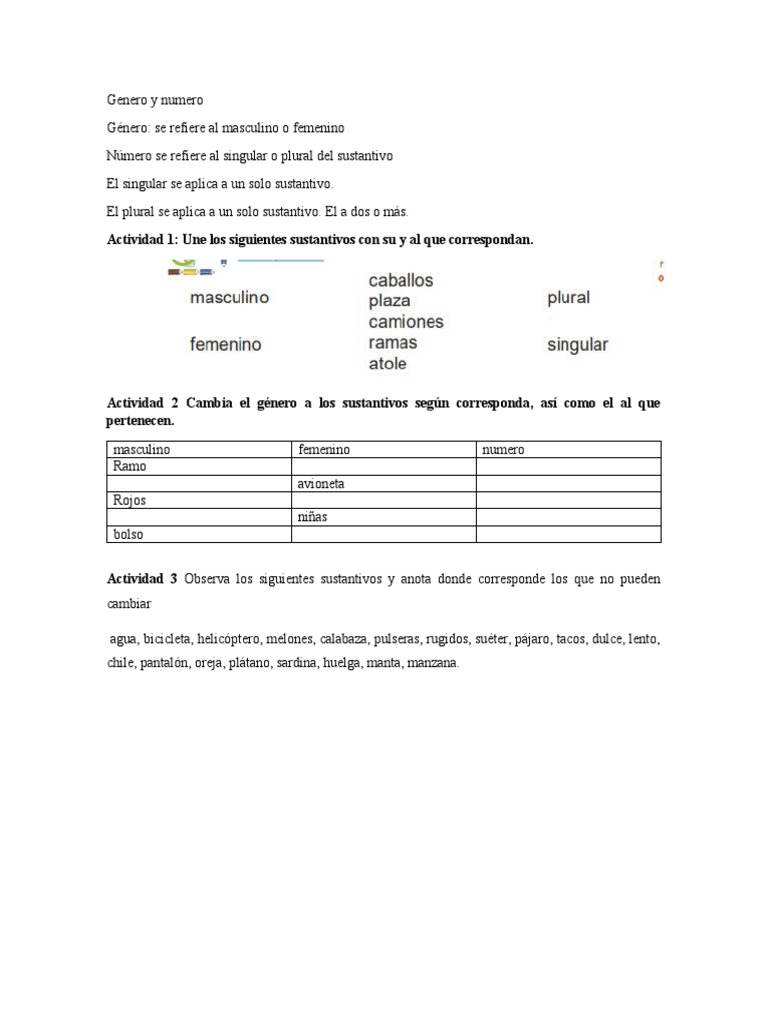 Genero y Numero | PDF