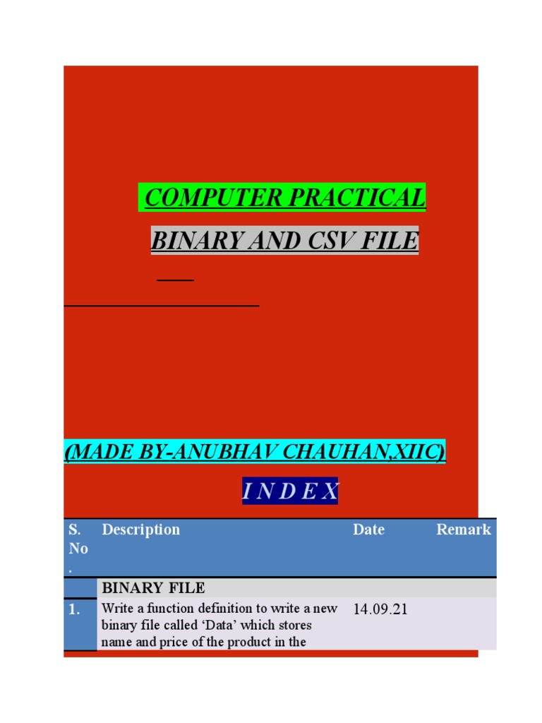 COMPUTER PRACTICAL-Binary and CSV File | PDF | Computer File | Comma ...