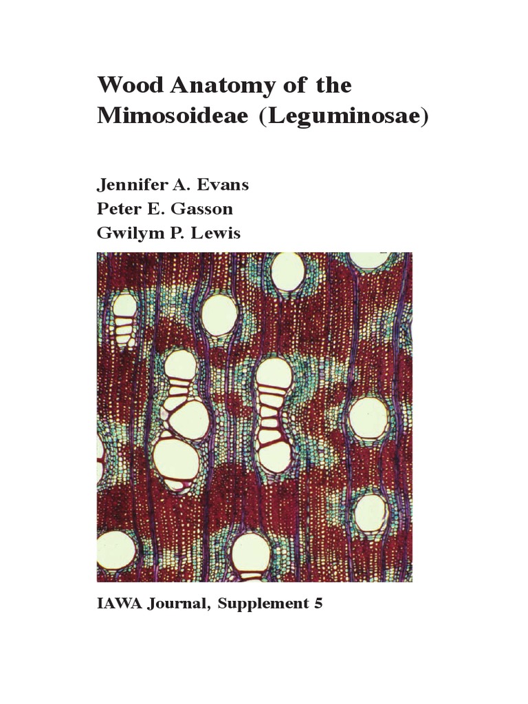 Wood Anatomy of Mimosoideae Subfamily | PDF | Taxa | Biology